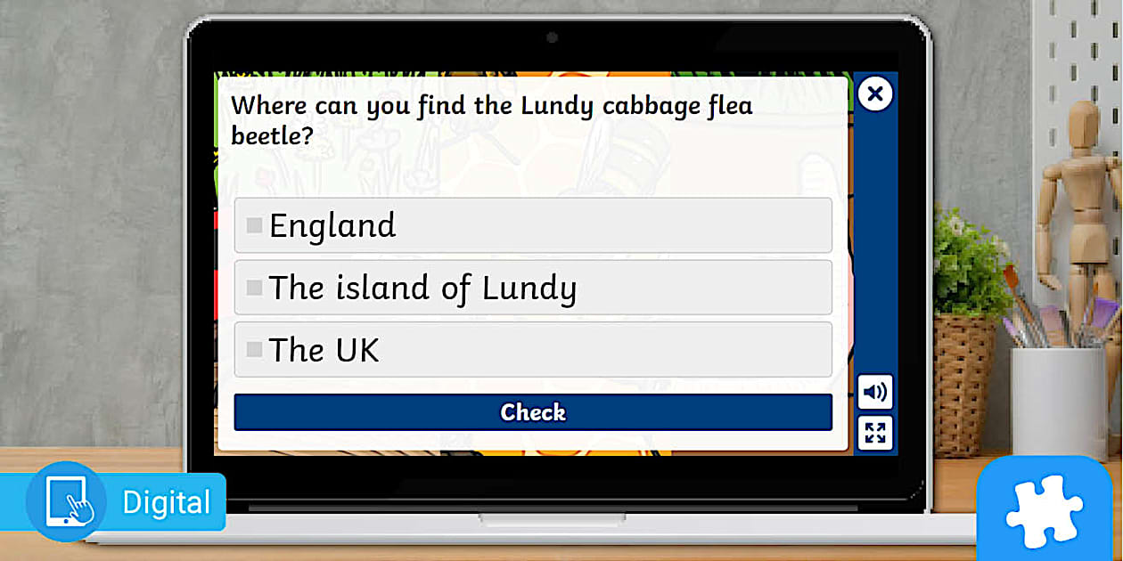 Minibeasts Interactive Quiz Activity | Twinkl Go! - Twinkl