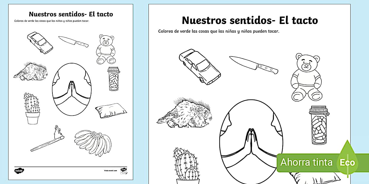 Ficha de actividad: Nuestros sentidos-el tacto | Twinkl