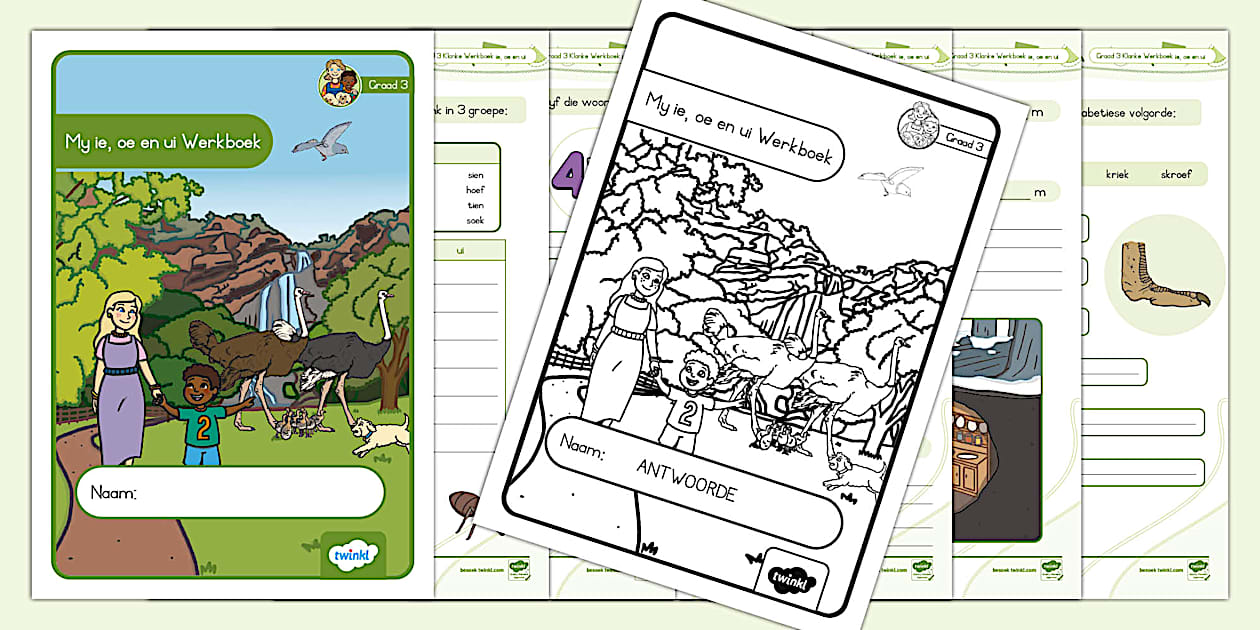 Graad 3 Klanke Werkboek ie, oe, ui (teacher made) - Twinkl