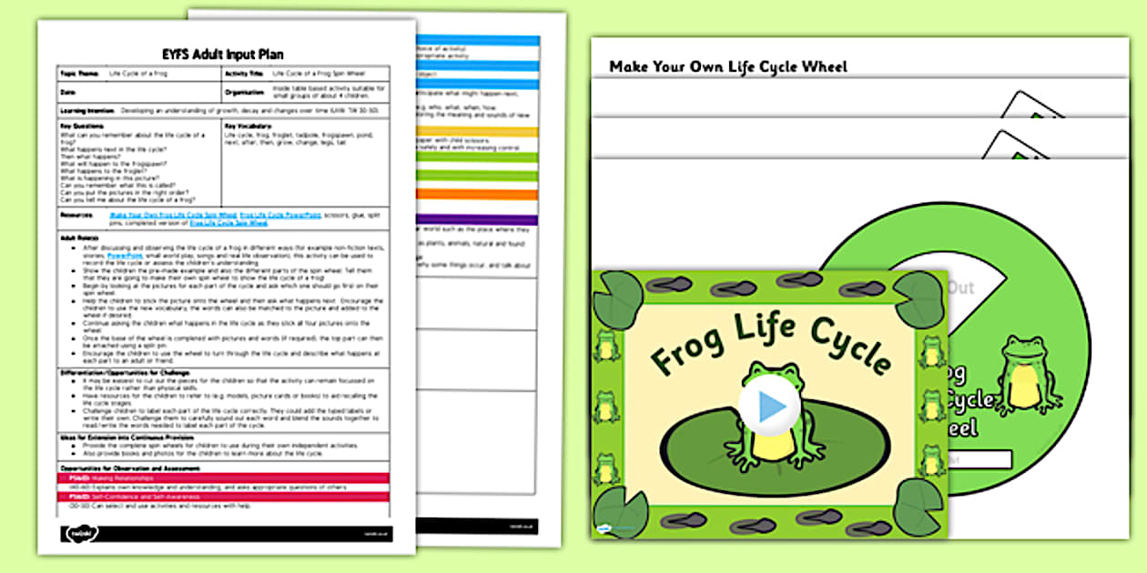 Life Cycle of a Frog Spin Wheel Activity EYFS Adult Input Plan and Resource