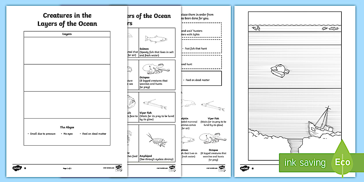Ocean Zones Worksheet | Primary Resource | Twinkl - Twinkl