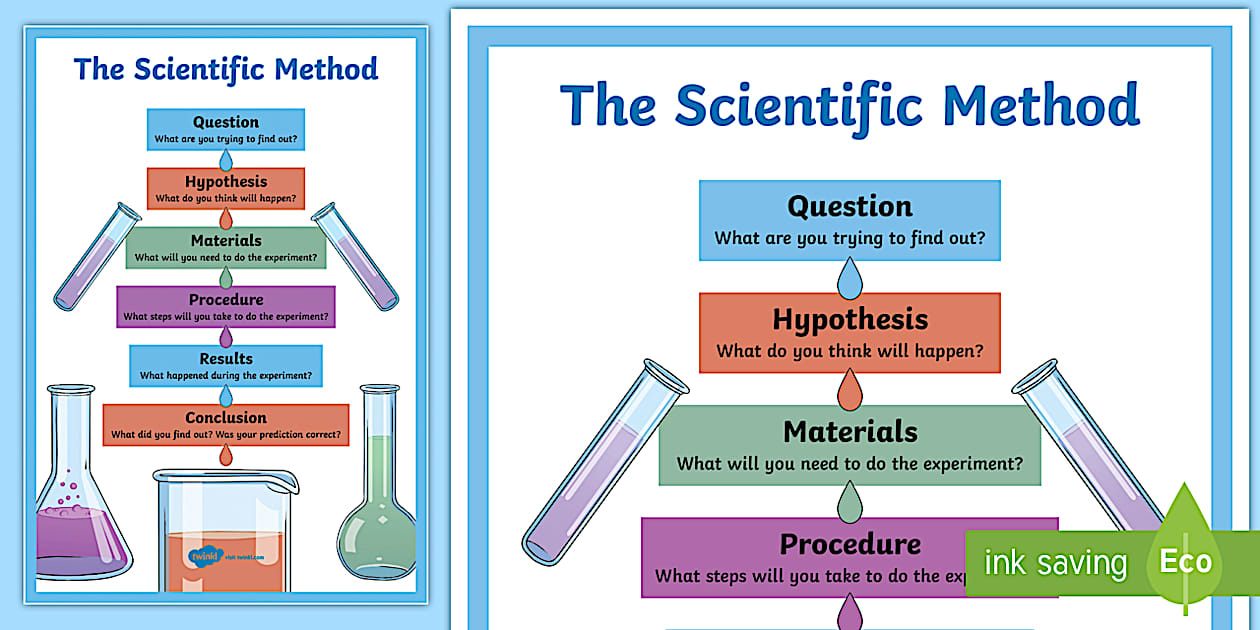 Scientific Method Diagram | Display Poster - Twinkl