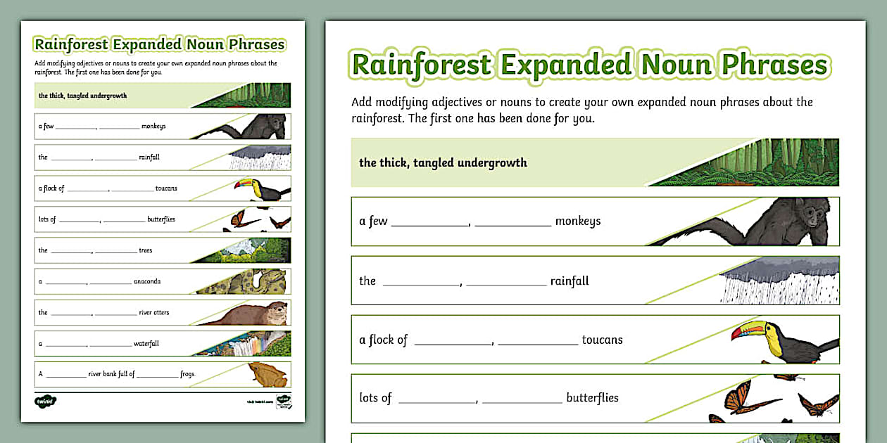 Rainforest-Themed Expanded Noun Phrases Worksheet - Twinkl