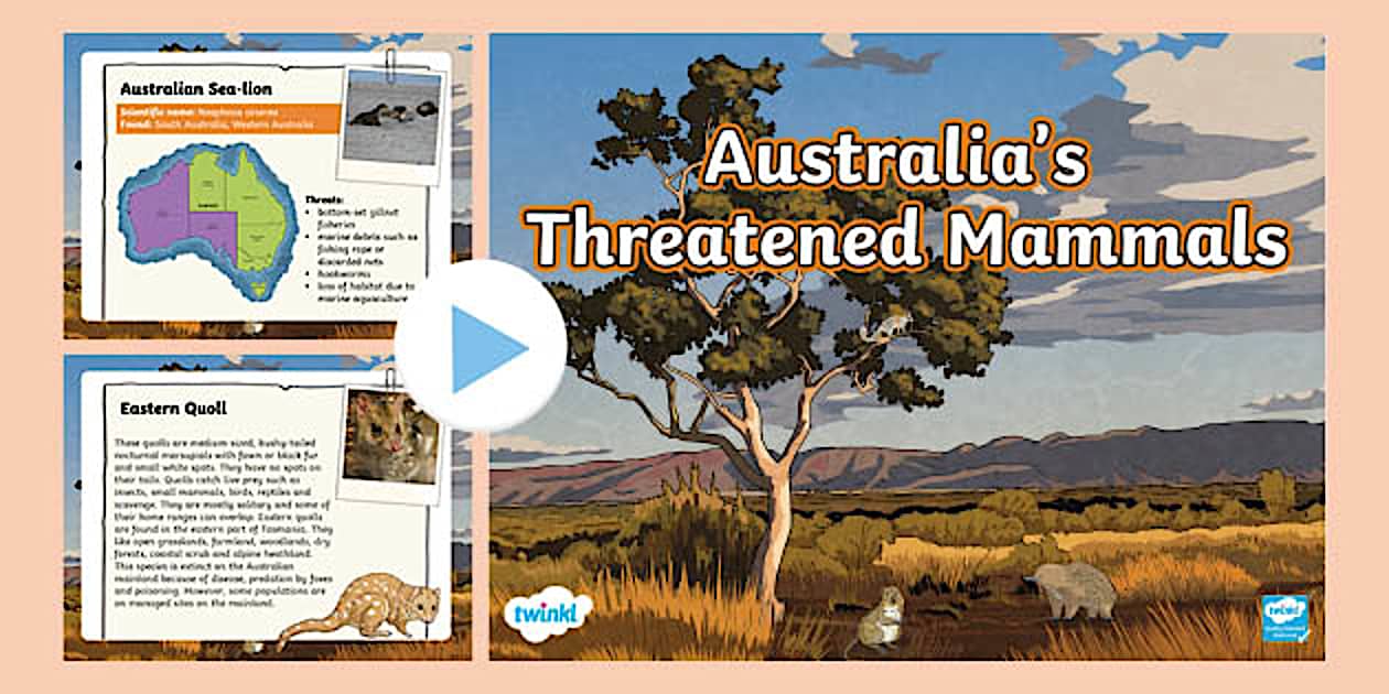 Australia's Threatened Mammals PowerPoint - Twinkl