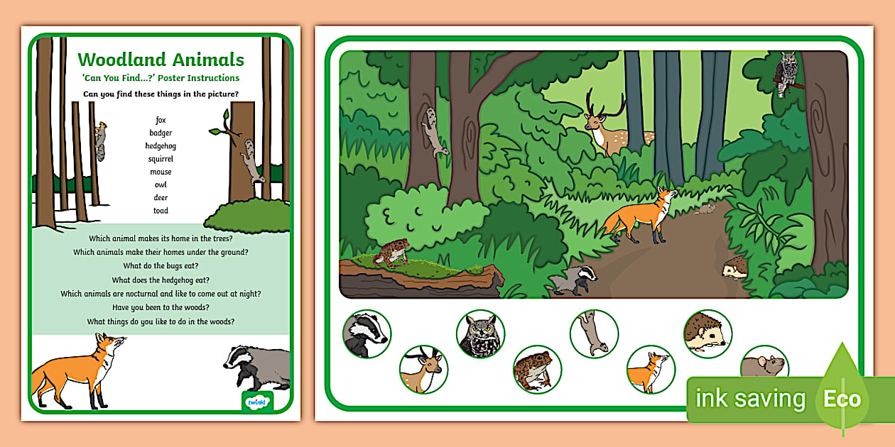 Woodland Animals Can You Find...? Poster & Prompt Card Pack