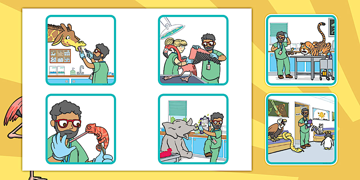 The Zoo Vet Story Sequencing Cards - Twinkl