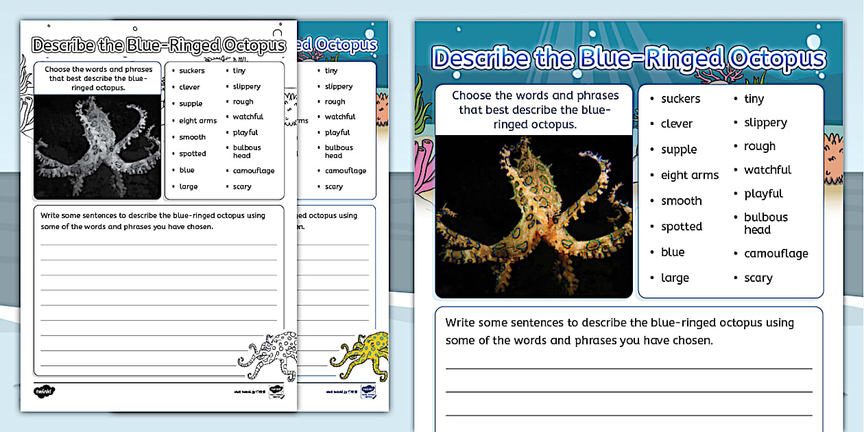 Describe the Blue-Ringed Octopus Worksheet (Teacher-Made)