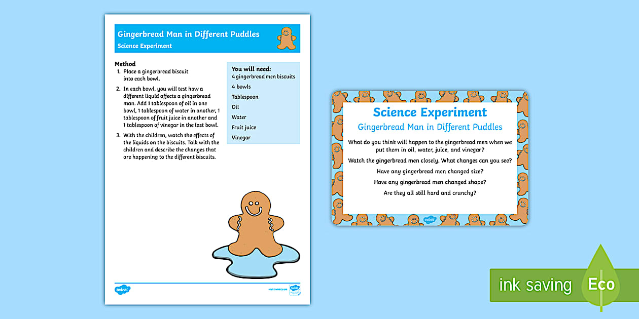 EYFS Gingerbread Man in Different Puddles Science Experiment and Prompt ...