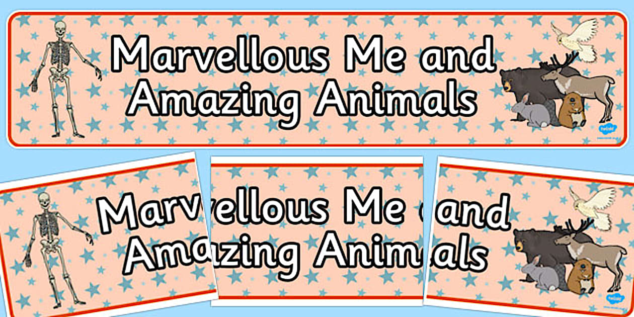 Editable Marvelous Me and Amazing Animals Display Banner
