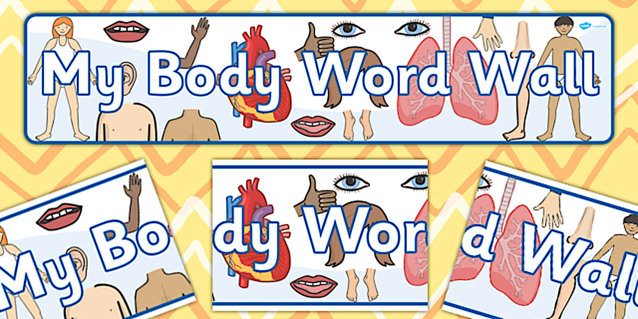 My Body Word Wall Display Banner (teacher made) - Twinkl