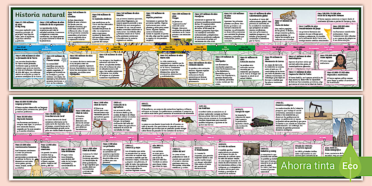 Línea del tiempo: Historia natural
