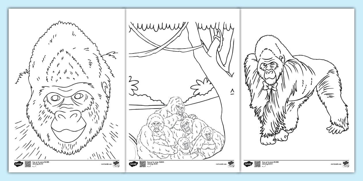 Gorilla Colouring In Pictures - Primary Resource - Twinkl
