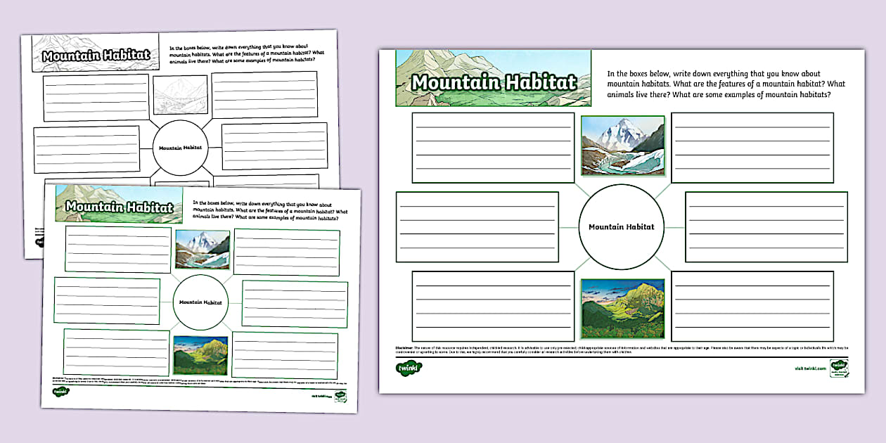 Mountain Habitat Mind Map (teacher made) - Twinkl