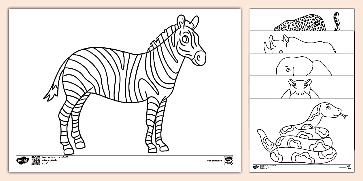 Safari Colouring Sheets (teacher made) - Twinkl