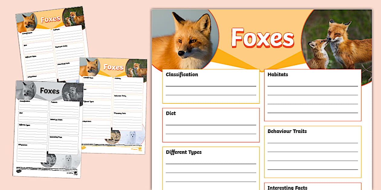 KS2 Fox Fact File Template (Hecho por educadores) - Twinkl