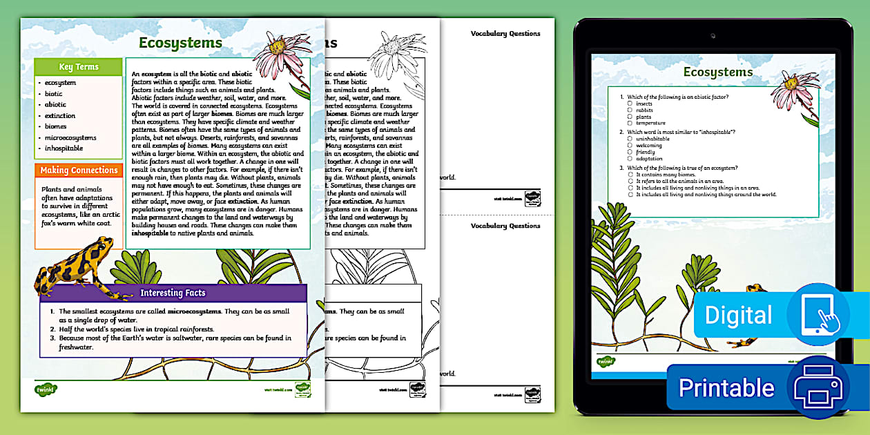 Ecosystem Vocabulary Worksheet (teacher made) - Twinkl