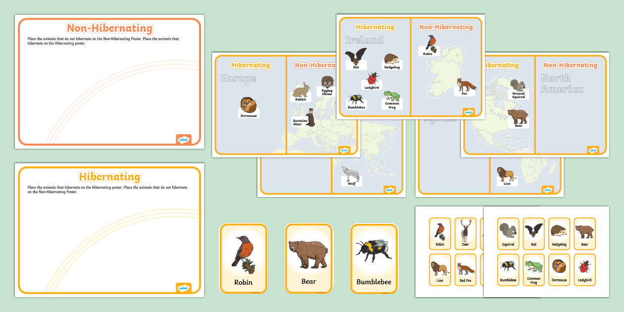 Animal Hibernating Sorting Activity (Teacher-Made) - Twinkl