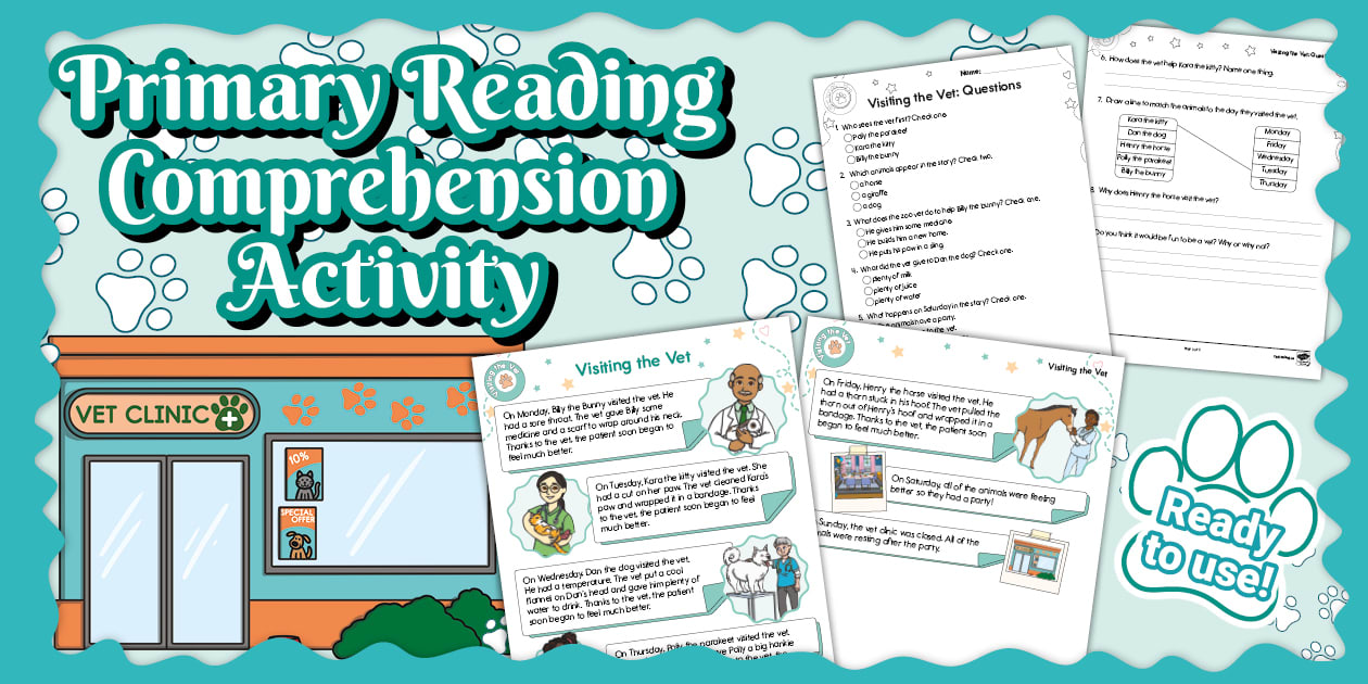 Primary Reading Comprehension Activity