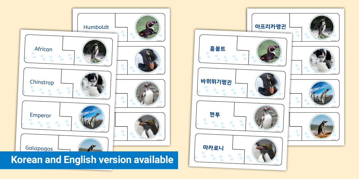 펭귄 매칭 퍼즐 | Penguin Matching Puzzle - Twinkl
