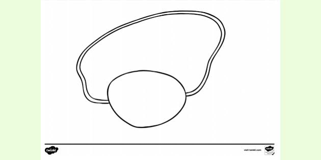 Eye Patch Colouring Sheet | Colouring Sheets - Twinkl