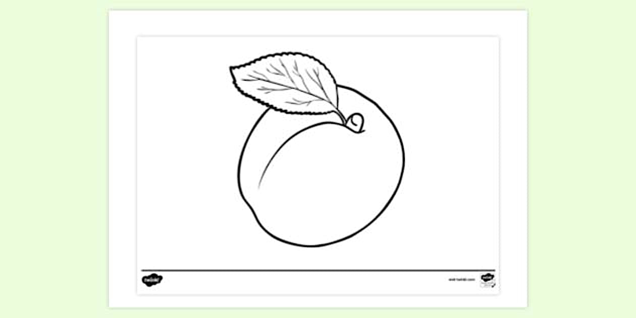 Apricot Colouring Page | Colouring Sheets | Twinkl - Twinkl
