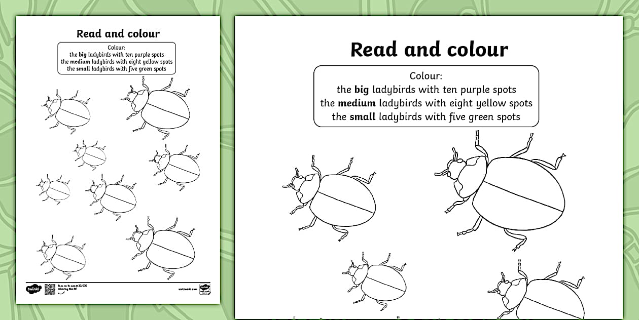 Ladybird Read and Colour Worksheet (teacher made) - Twinkl