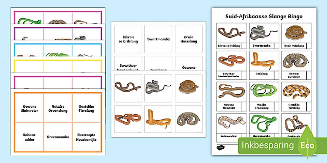 Slange Van Suid-Afrika Bingo Speletjie - Twinkl