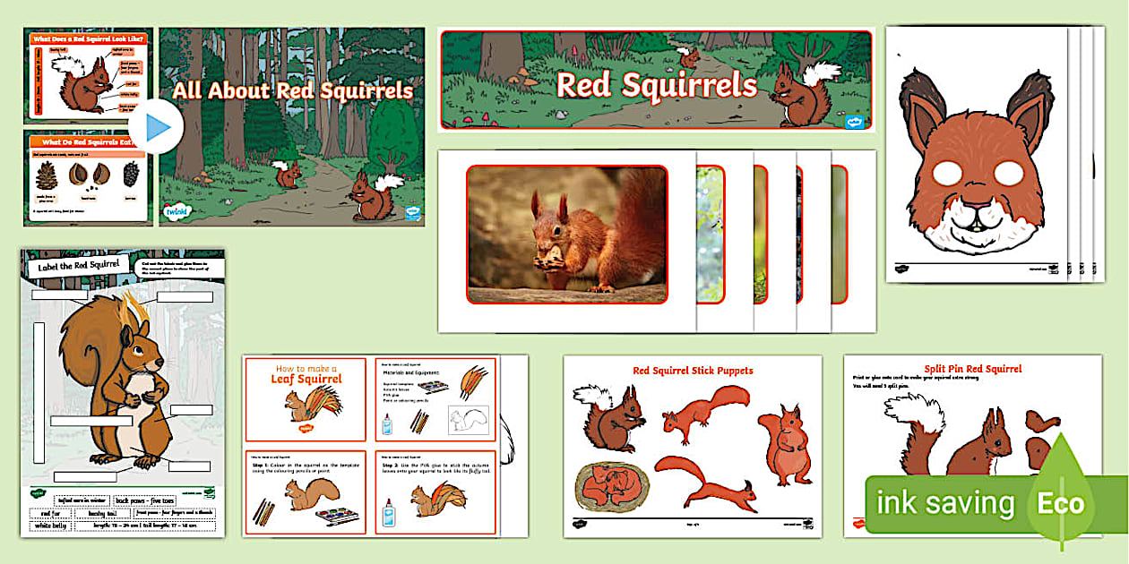 Red Squirrel Appreciation Day Early Level Resource Pack
