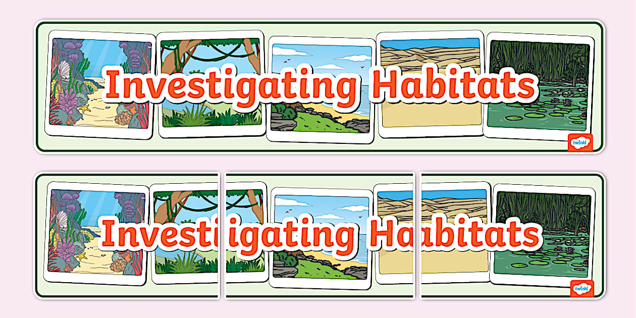 Investigating Habitats Display Banner (teacher made)