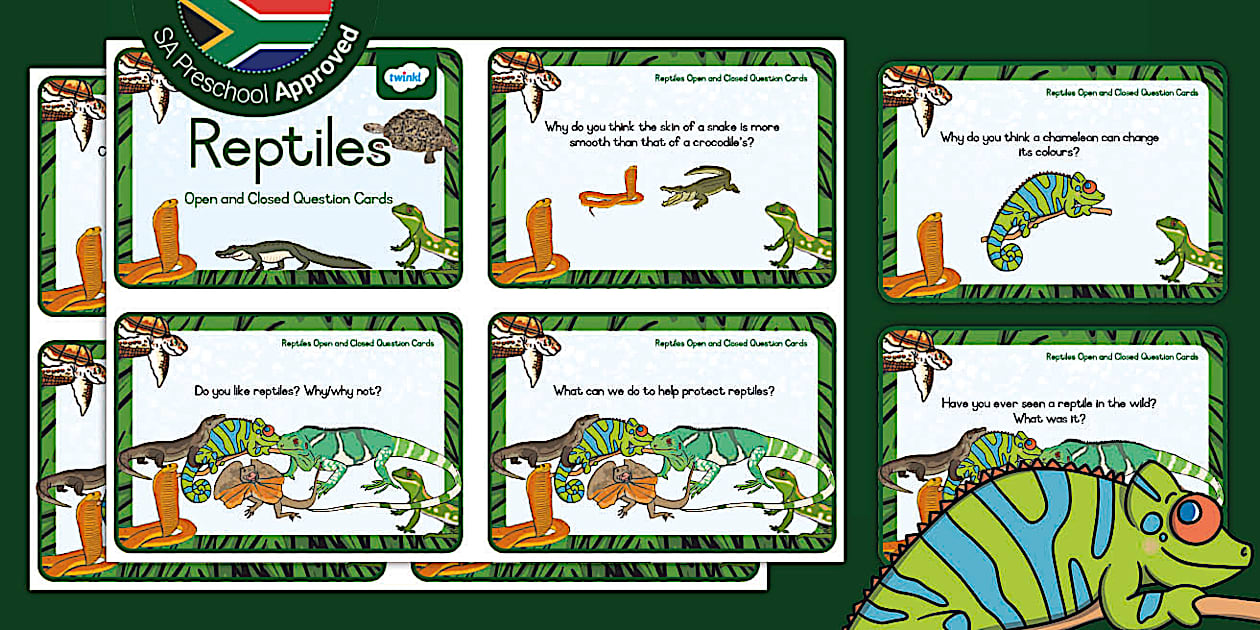 Reptiles: Open and Closed Question Cards (teacher made)