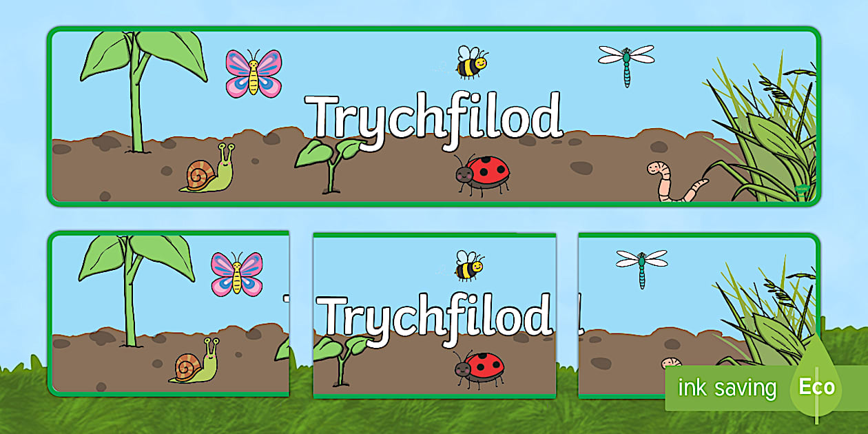 Baner Arddangosfa Trychfilod (teacher made) - Twinkl