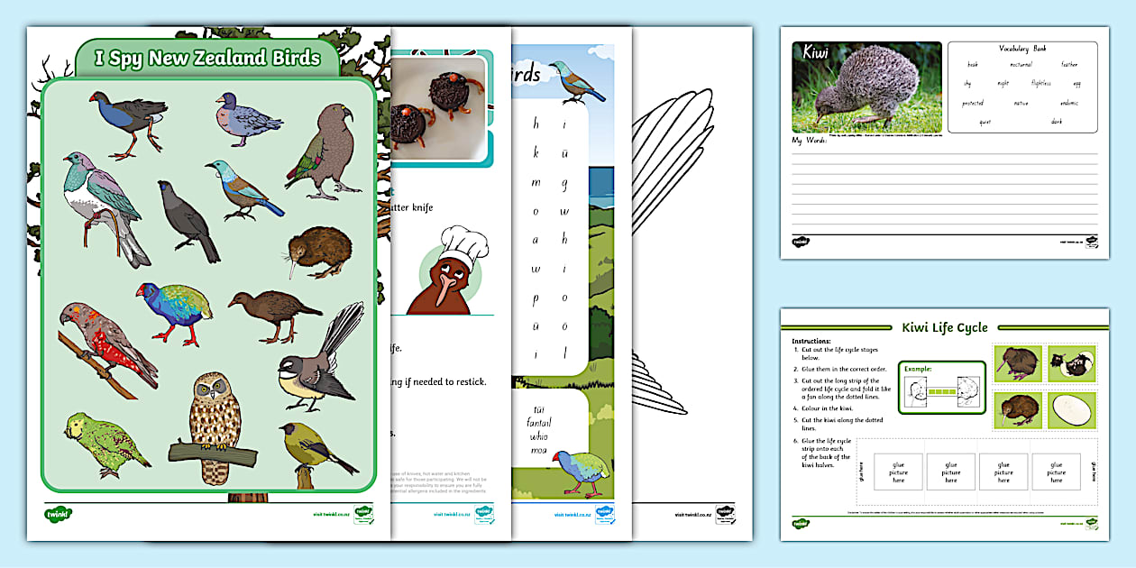 Maths Mystery and More - Native Bird Theme Pack