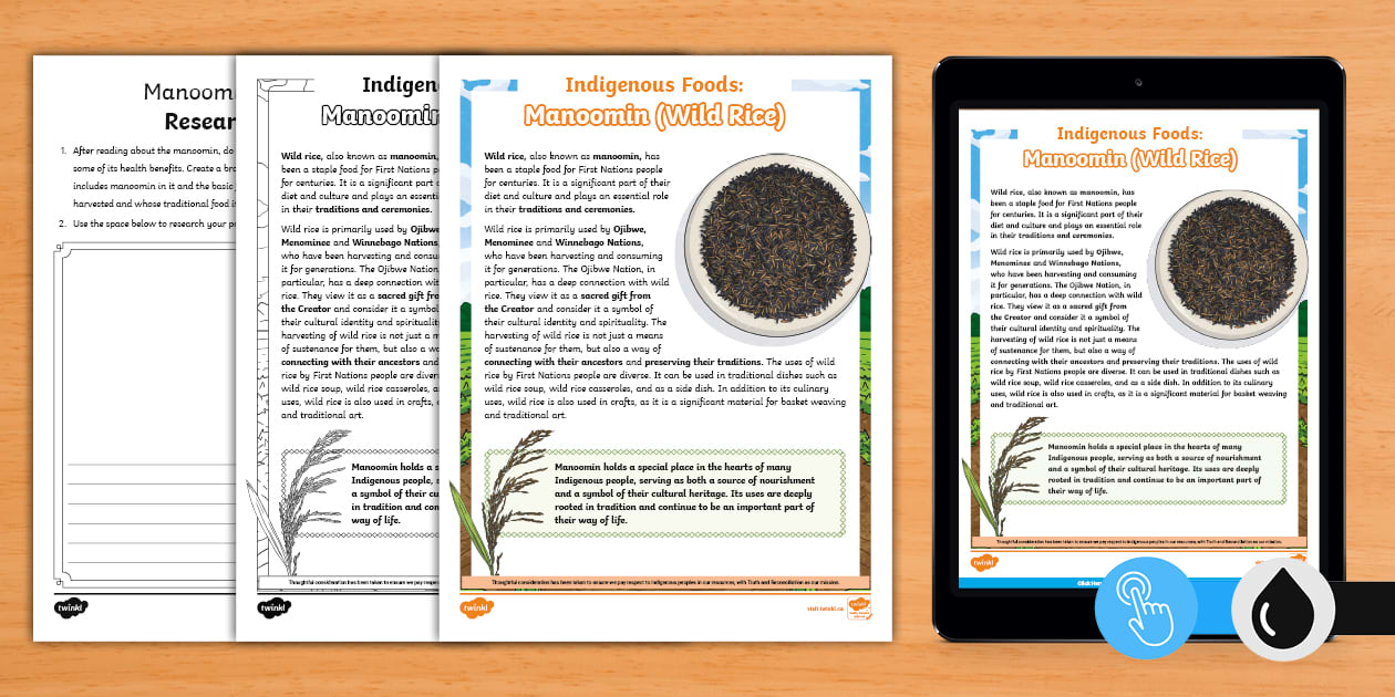 FREE! - Indigenous Foods: Manoomin (Wild Rice) Reading Activity