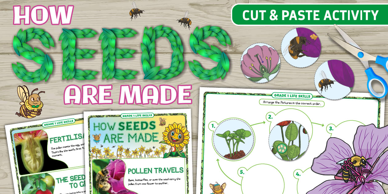 Life Skills - Worksheet: How Seeds Are Made (CAPS Aligned)