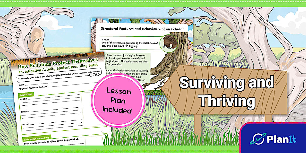 Yr 5 Science Built to Survive L4 Surviving and Thriving