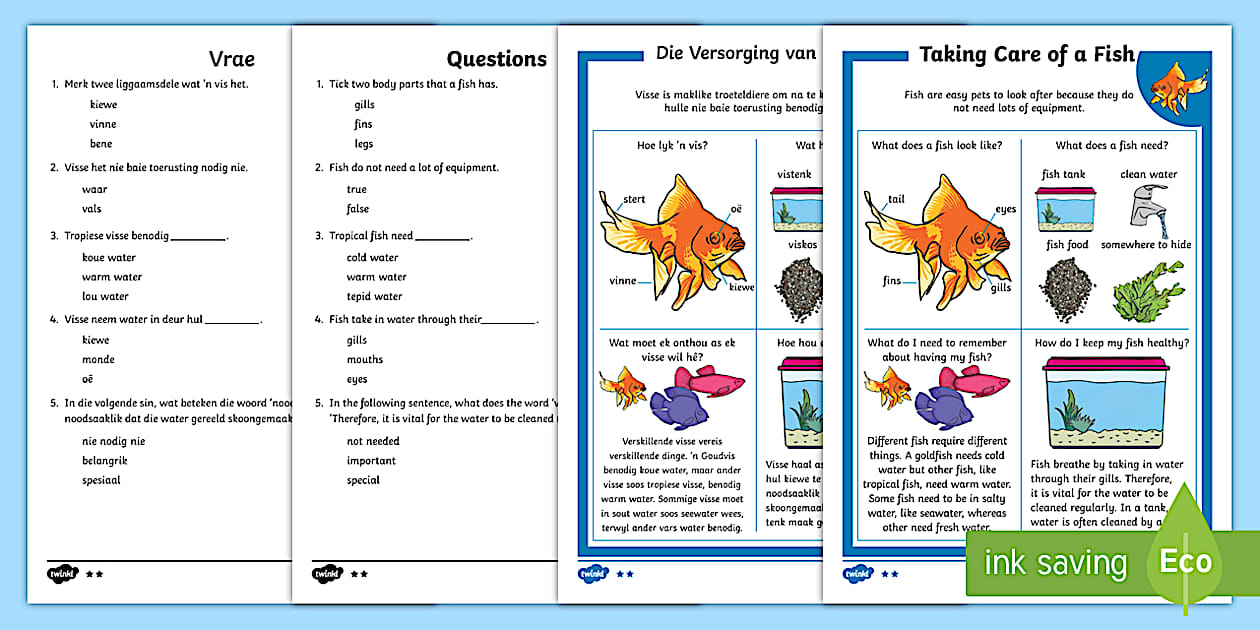 How to Look After a Fish Differentiated Reading Comprehension