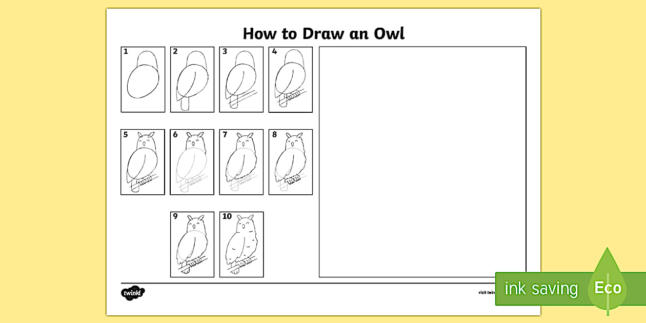 How to Draw an Owl - Primary Resources (teacher made)