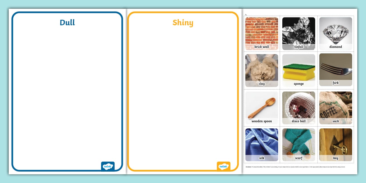 Dull or Shiny Sorting Activity - KS1 Science (Teacher-Made)