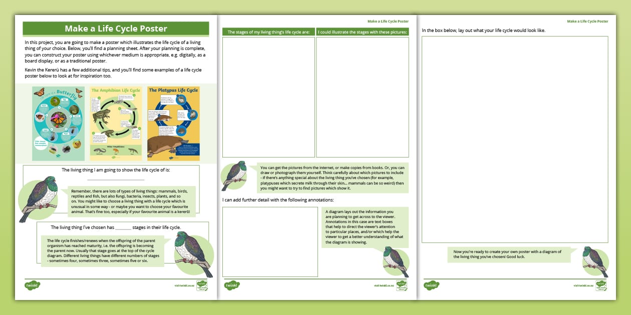 Year 5-8 Life Processes: Make a Life Cycle Poster - Twinkl