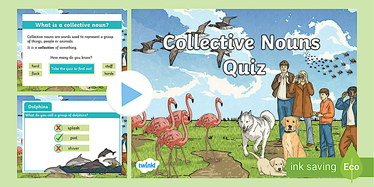 List of Collective Nouns Quiz PowerPoint | KS2 Grammar