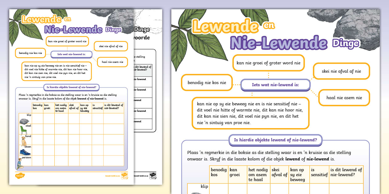 Lewende en Nie-Lewende Dinge Aktiwiteit (professor feito)