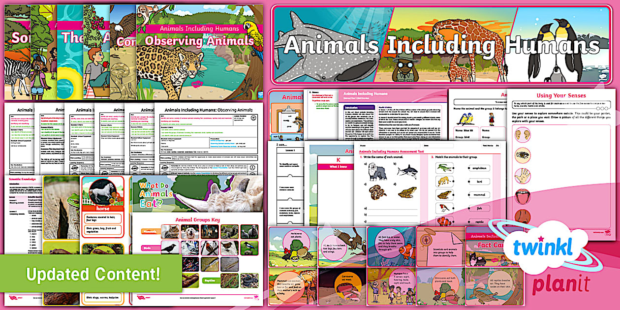Animals Including Humans Year 1 - Displays and Unit Pack