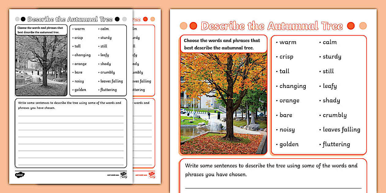 Describe the Autumnal Tree Worksheet (Teacher-Made) - Twinkl