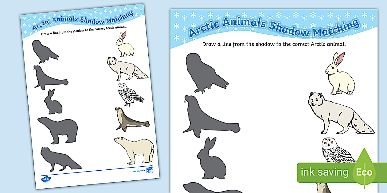 Arctic Animals Shadow Matching Worksheet (Teacher-Made)