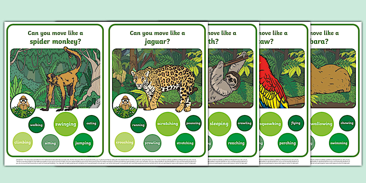 Jungle Animal Movement Cards | Twinkl