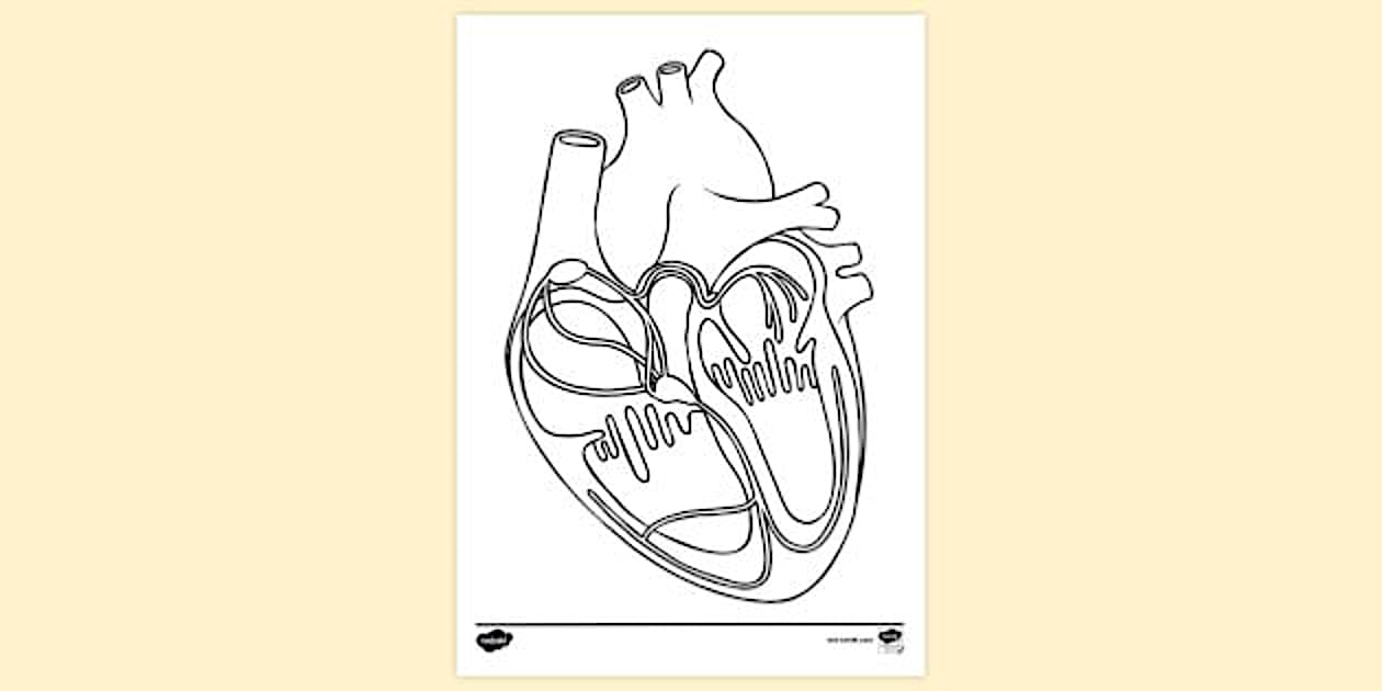 Heart Colouring Page to Print | Colouring Sheets - Twinkl