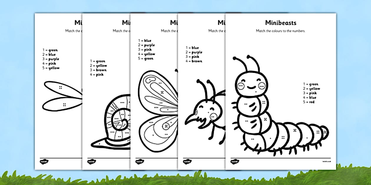 Minibeasts Colour by Number Counting Worksheet / Worksheet