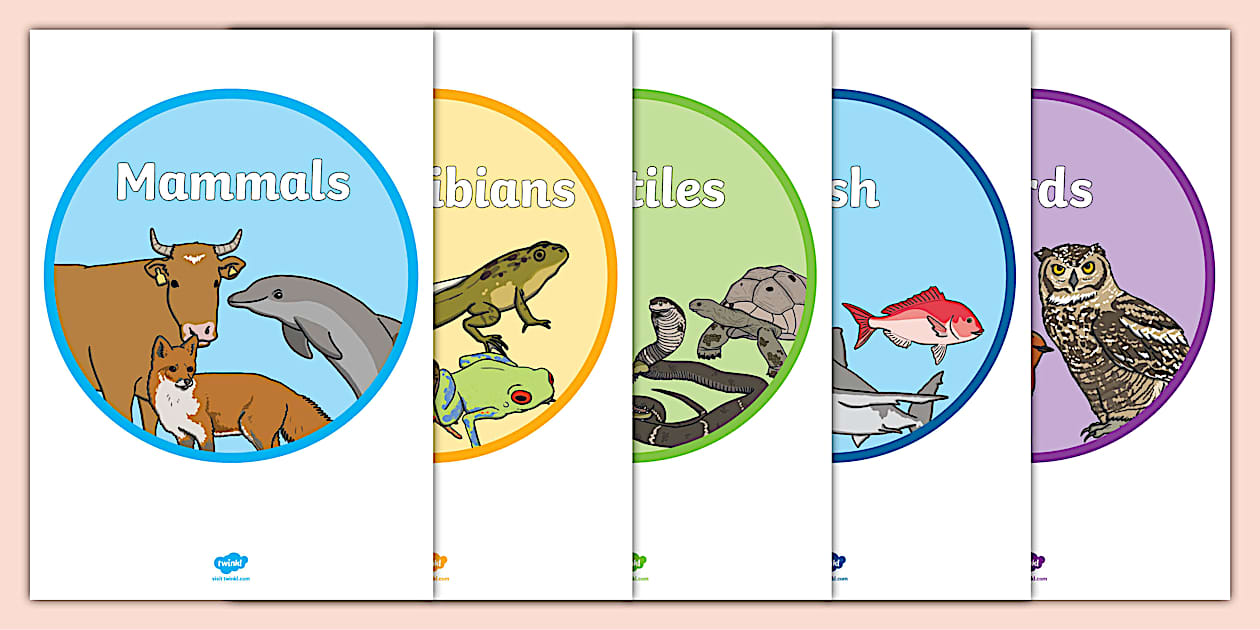 👉 Classroom Bubbles Animal Themed Door Signs Display Posters