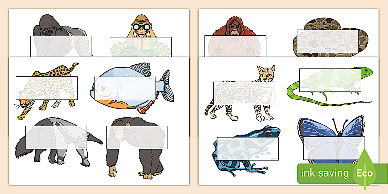 Editable Self-Registration Labels (Jungle & Rainforest)