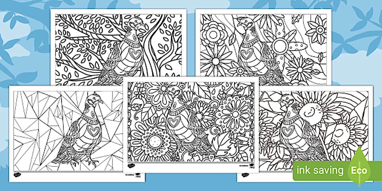 Wood Pigeon Mindfulness Colouring Activity (teacher made)